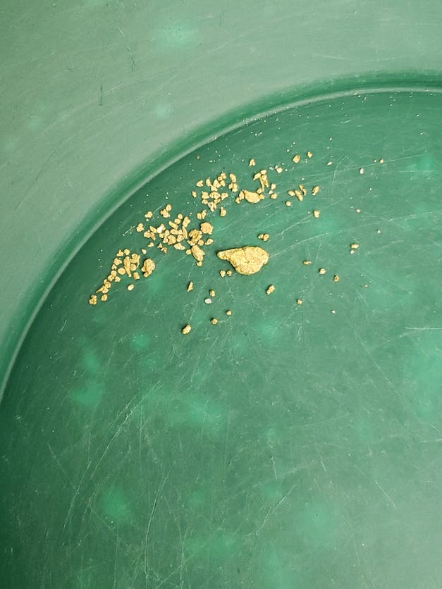 Bonanza Bag - Felix Paydirt's Gourmet Gold