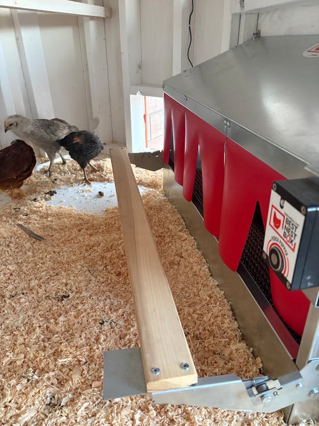 Customer Gallery - bestnestbox.com